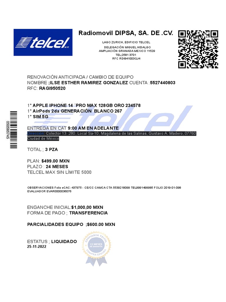 Radiomovil DIPSA, SA | PDF | Red mundial | Internet y web