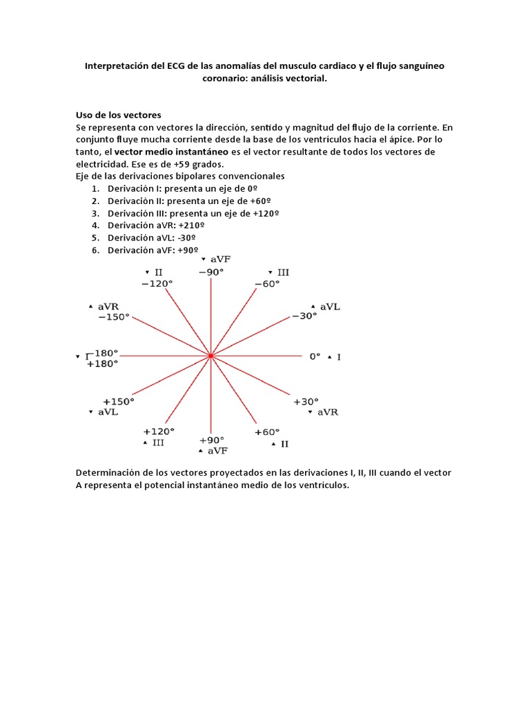 Cap. 12 GUYTON | PDF