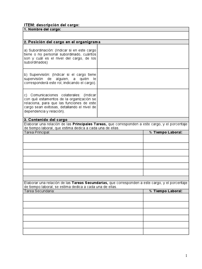 Formato Descripcion de Cargo | PDF | Aprendizaje | Cognición