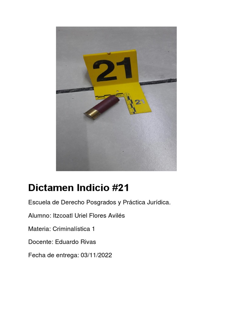 Dictamen Indicio #21 | PDF | Cartucho (armas de fuego) | Herramientas