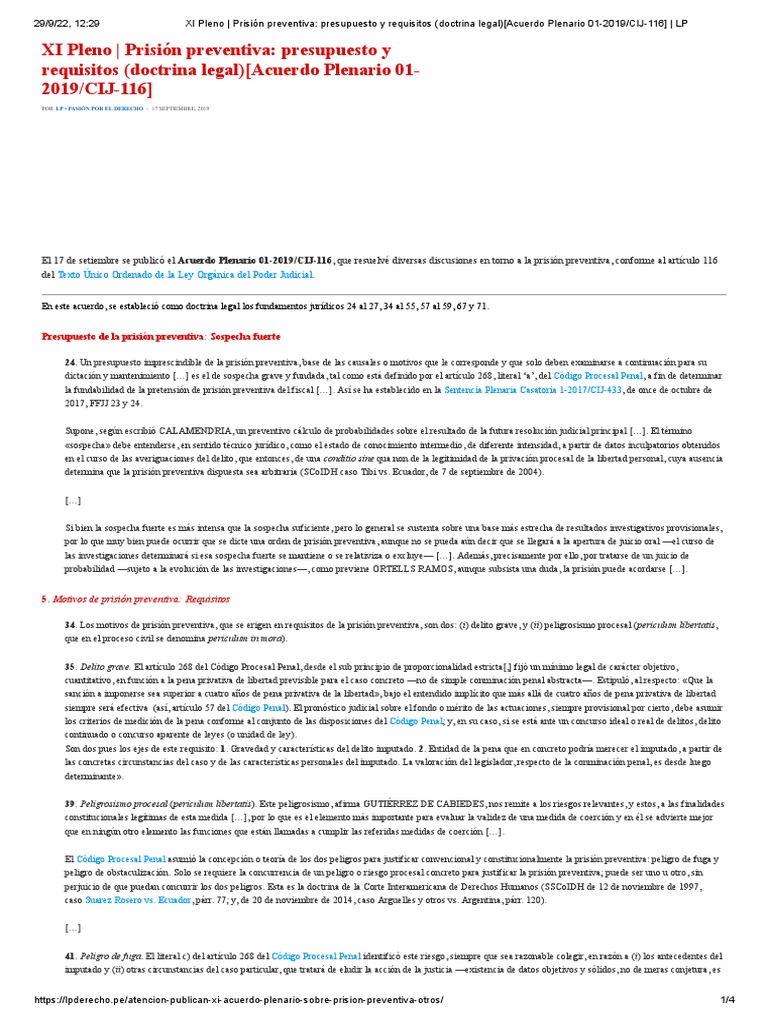 Prisión Preventiva: Requisitos y Plazos | PDF | Derecho penal | Ley ...