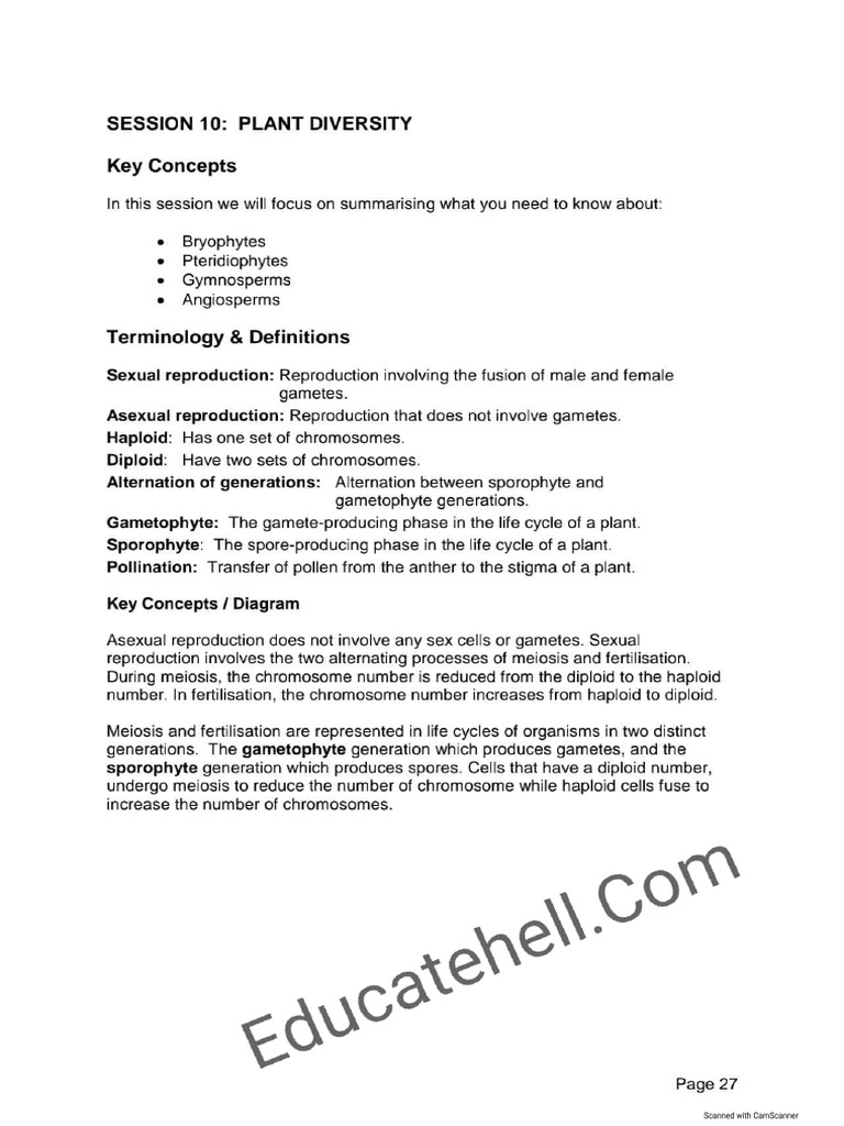 Plants Diversity Notes | PDF