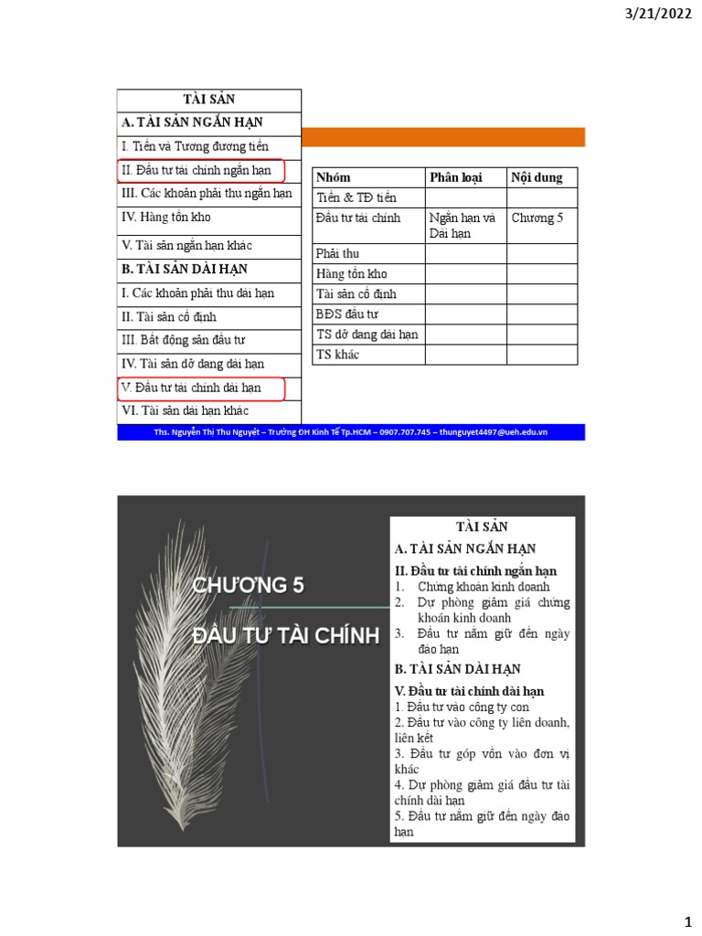 C5.P - Dau Tu Tai Chinh (2022) .SV | PDF