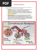 Definición de Célula Diana | PDF | Biología Celular | Biología