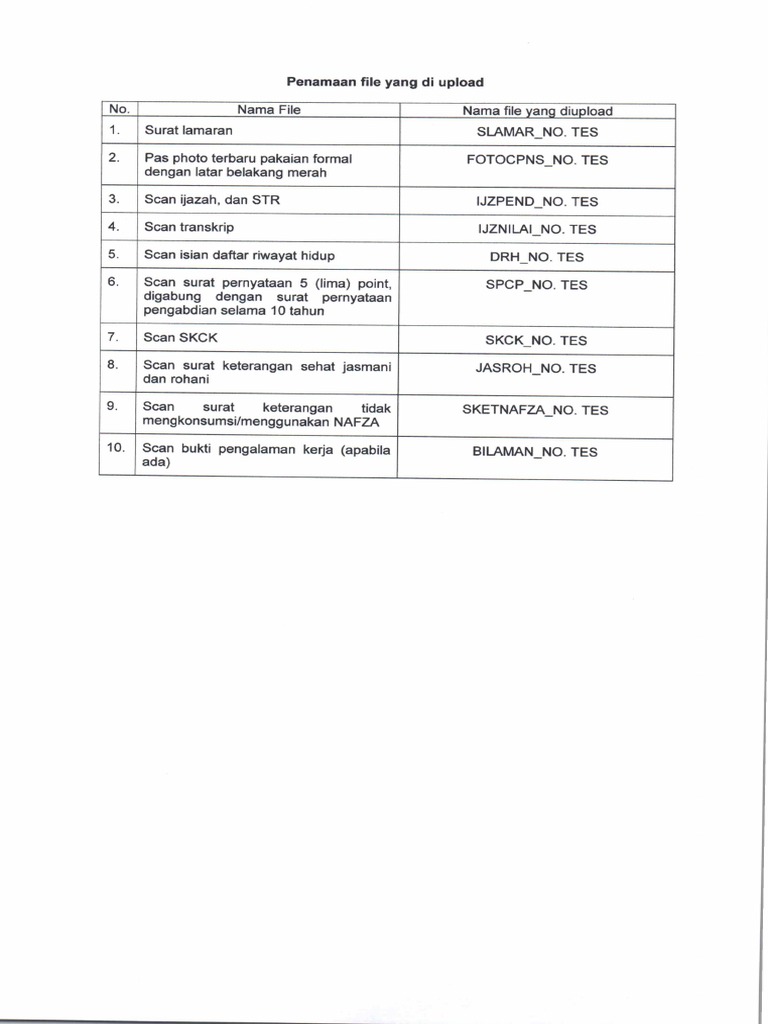 Panduan Penamaan File | PDF