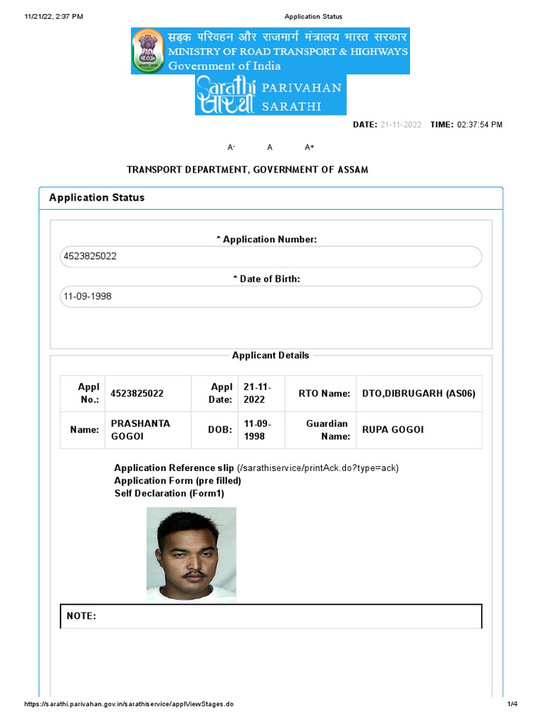 DL Application | PDF | Driver's License | Computing