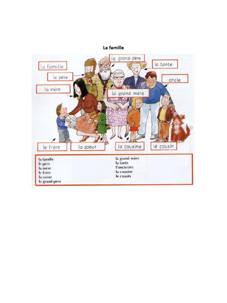 Lexique La Famille Et Les Adjectifs Possessifs | PDF | Genre ...