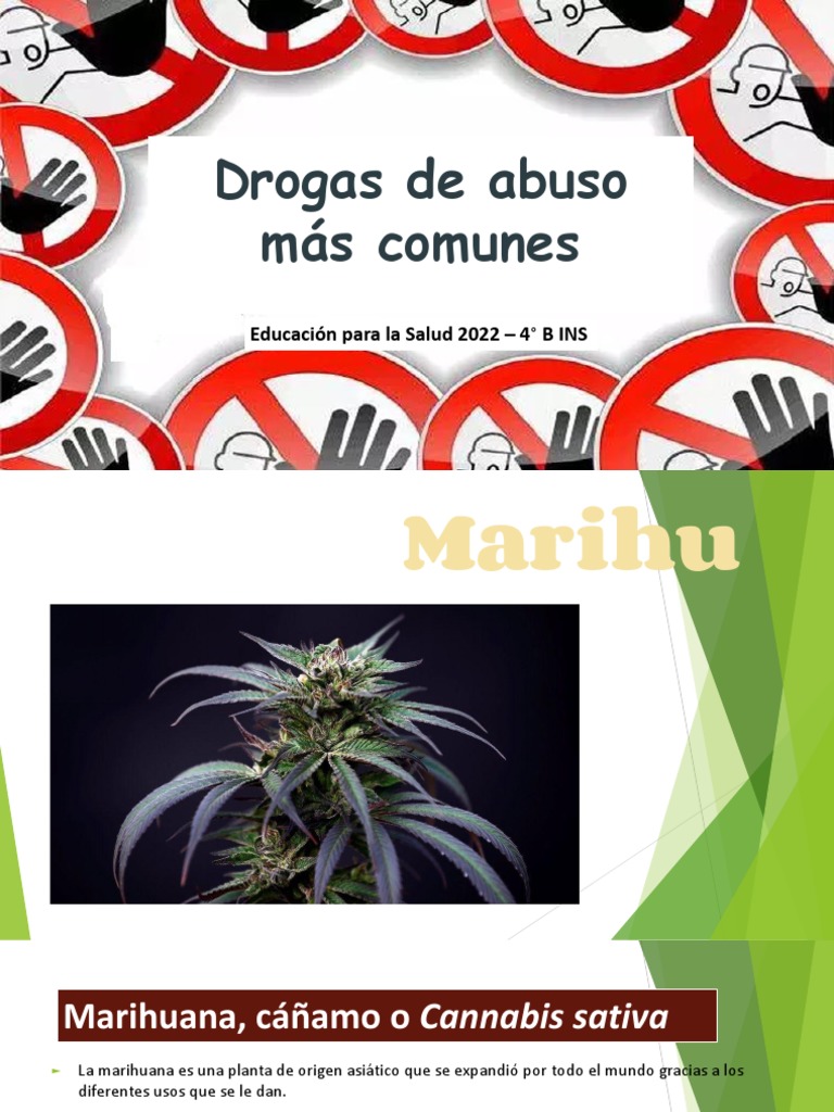 Drogas de abuso más comunes: Marihuana | PDF | La dependencia de sustancias | Cannabis (Droga)