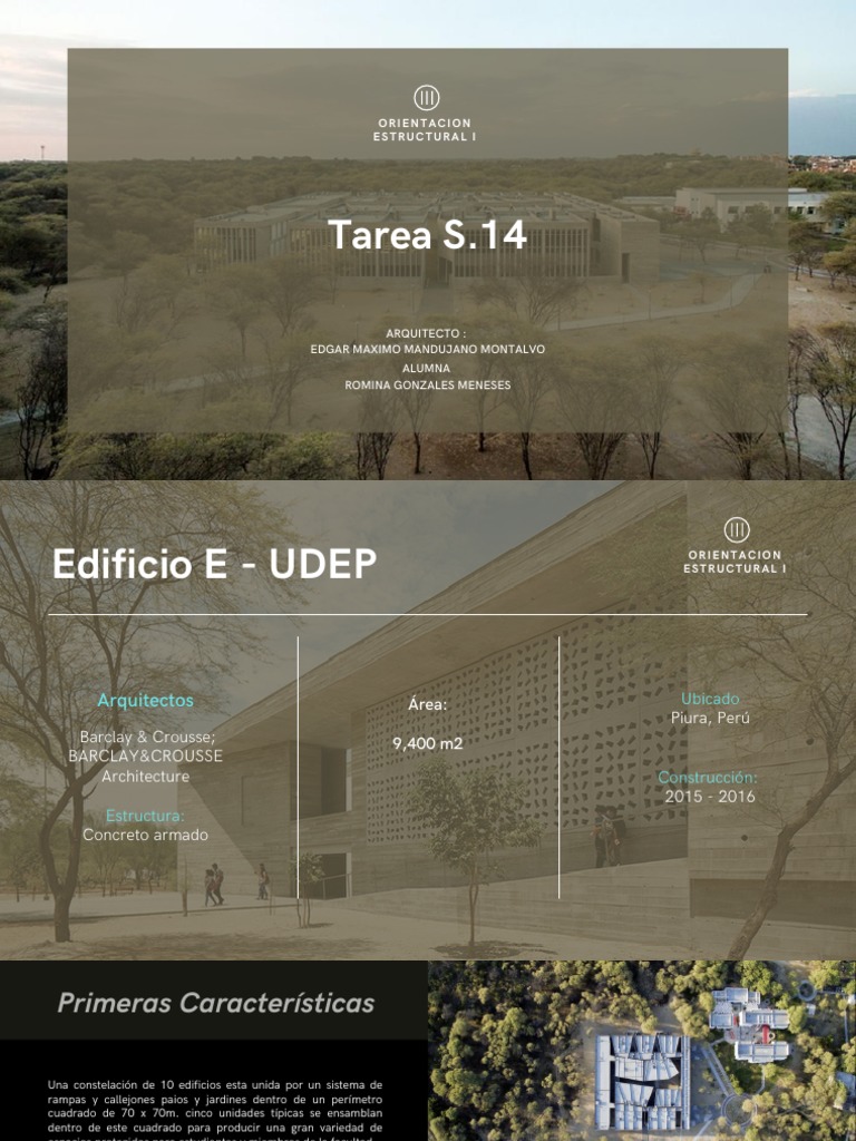 Tarea S.14: Orientacion Estructural I | PDF | Sectores Economicos