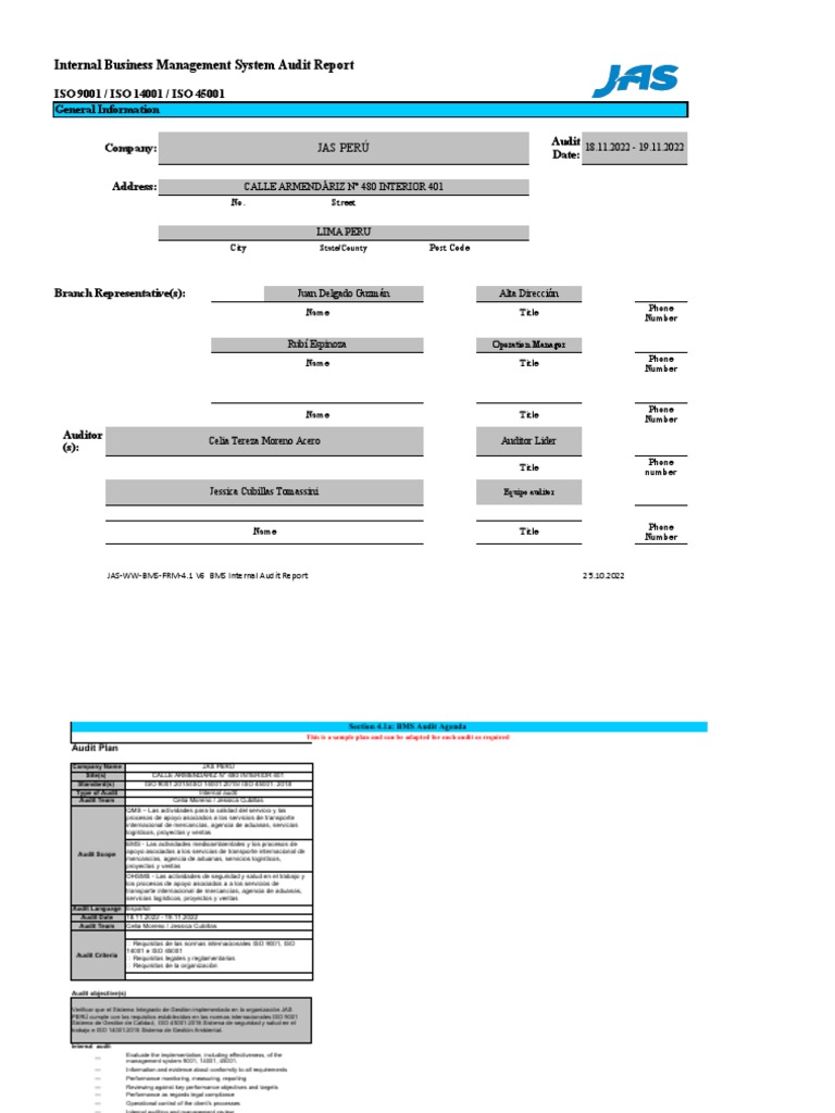 Jas-Ww-Bms-Frm - 4.1 V6 BMS Internal Audit Report | PDF | Análisis FODA ...