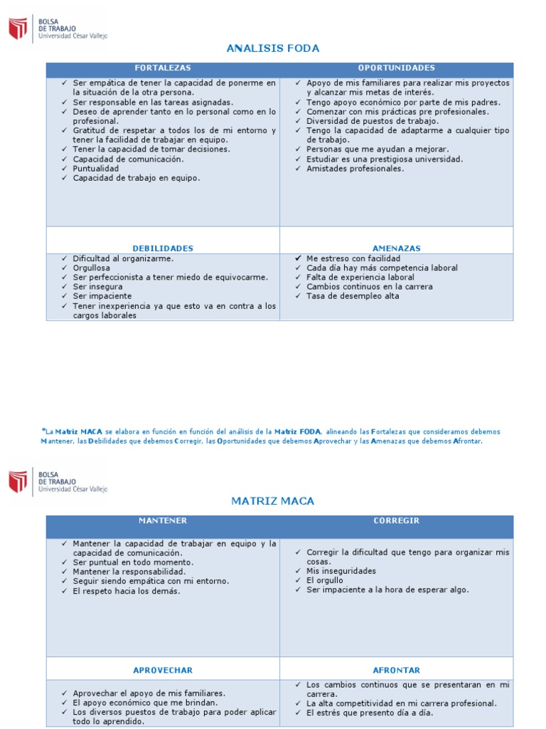 Matriz Foda - Maca. | PDF | Análisis FODA | Ciencia cognitiva