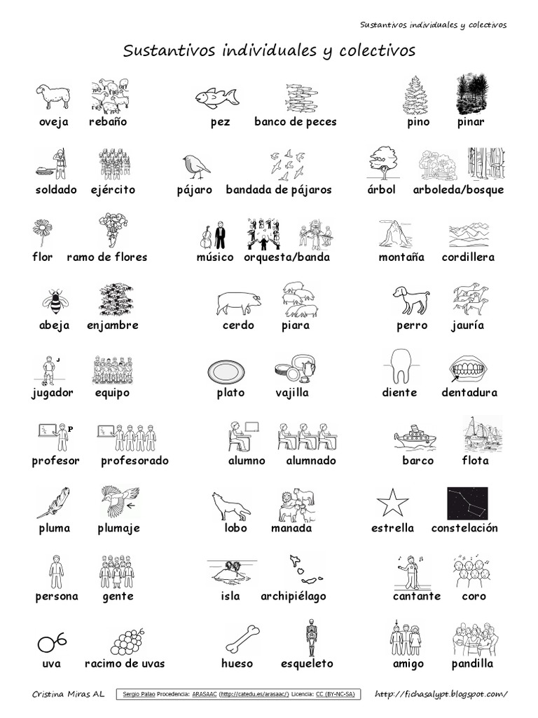 Sustantivos Individuales y Colectivos | PDF