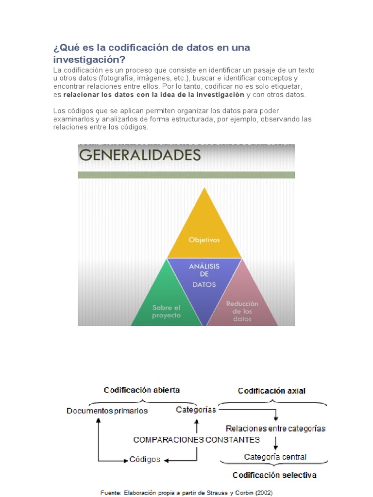 Codificación de Datos en Investigación | PDF