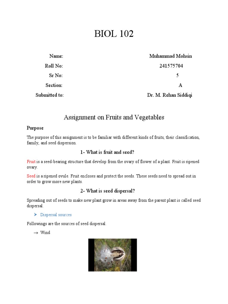 Biol 102 Fruits Assignments | PDF | Fruit | Orange (Fruit)