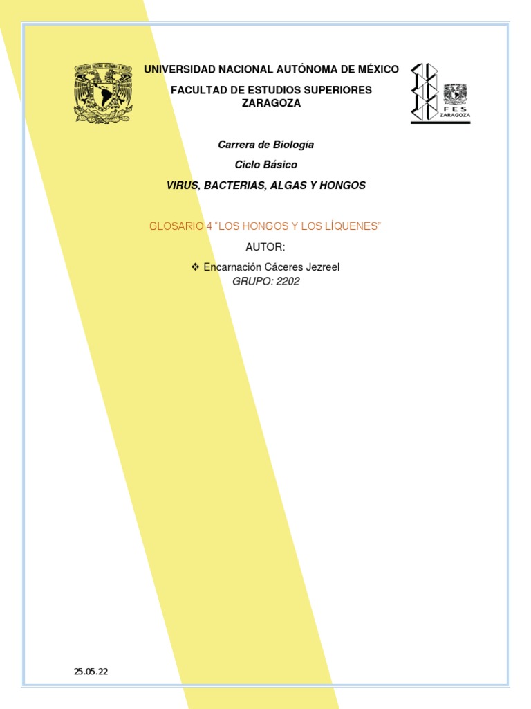 Glosario de Hongos y Líquenes | PDF | Hongo | Espora
