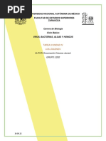 Tipos y ejemplos de tallos modificados | PDF | Tallo de la planta ...