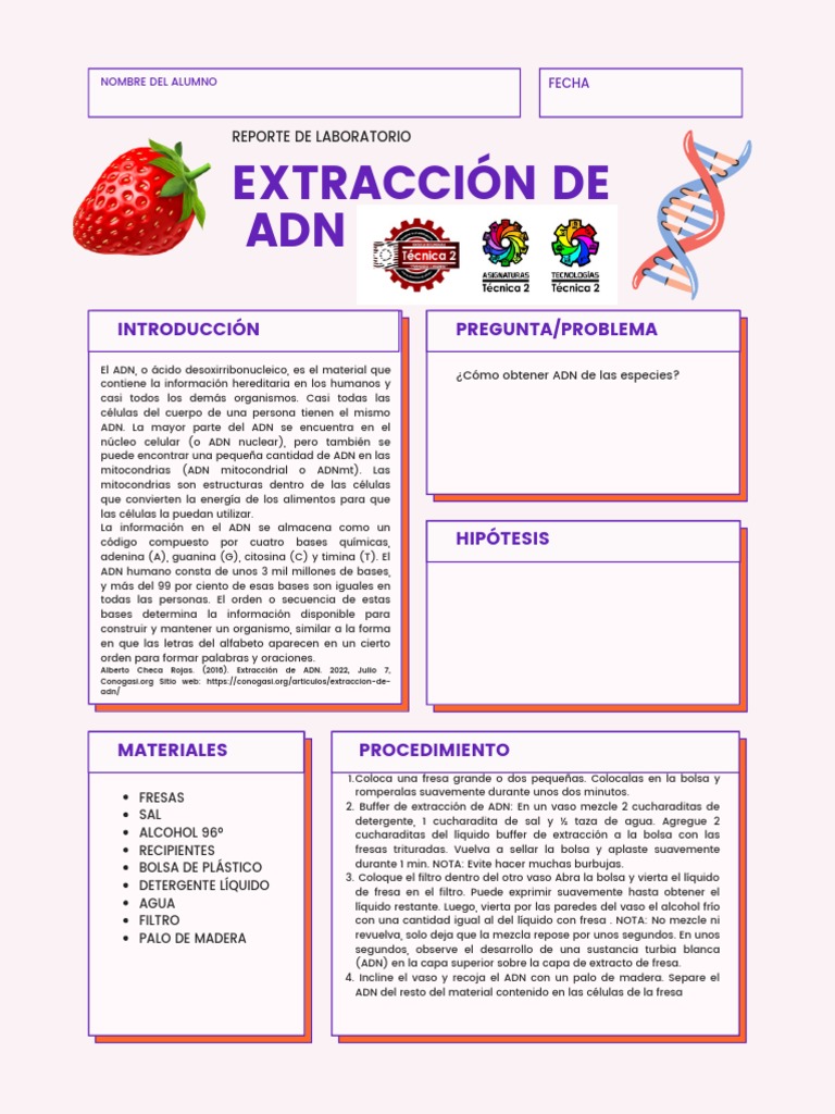 Practica Adn | PDF | Adn | Biología Celular)