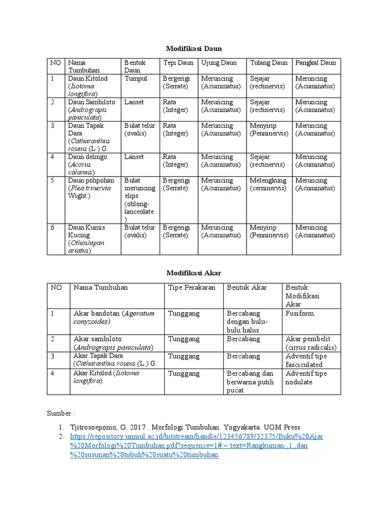 Modifikasi Daun Dan Akar | PDF