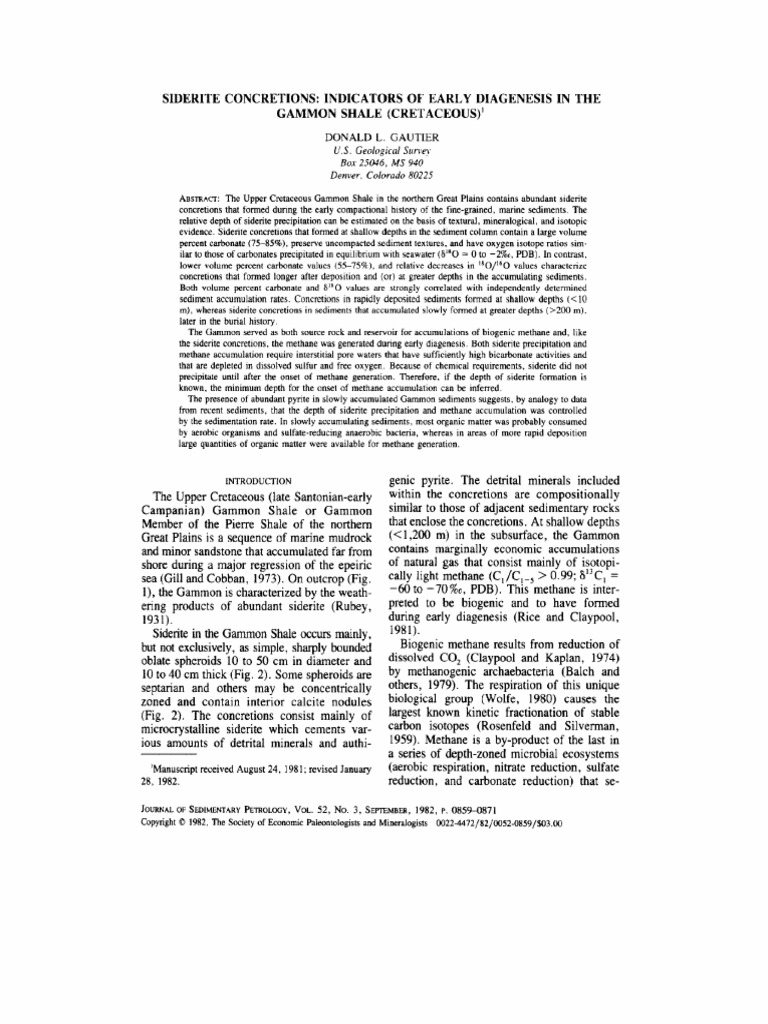 Siderite Concretions | PDF | Sedimentary Rock | Shale