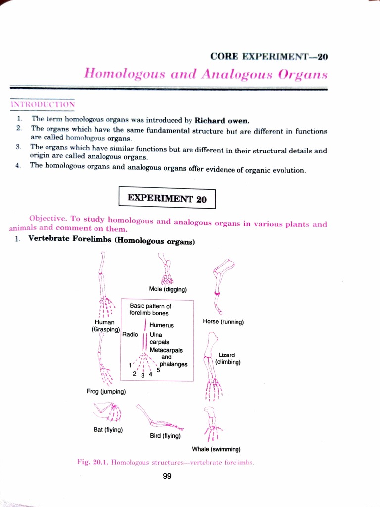 Homologous and Analogous Organs Class Xii Practical | PDF | Leaf ...
