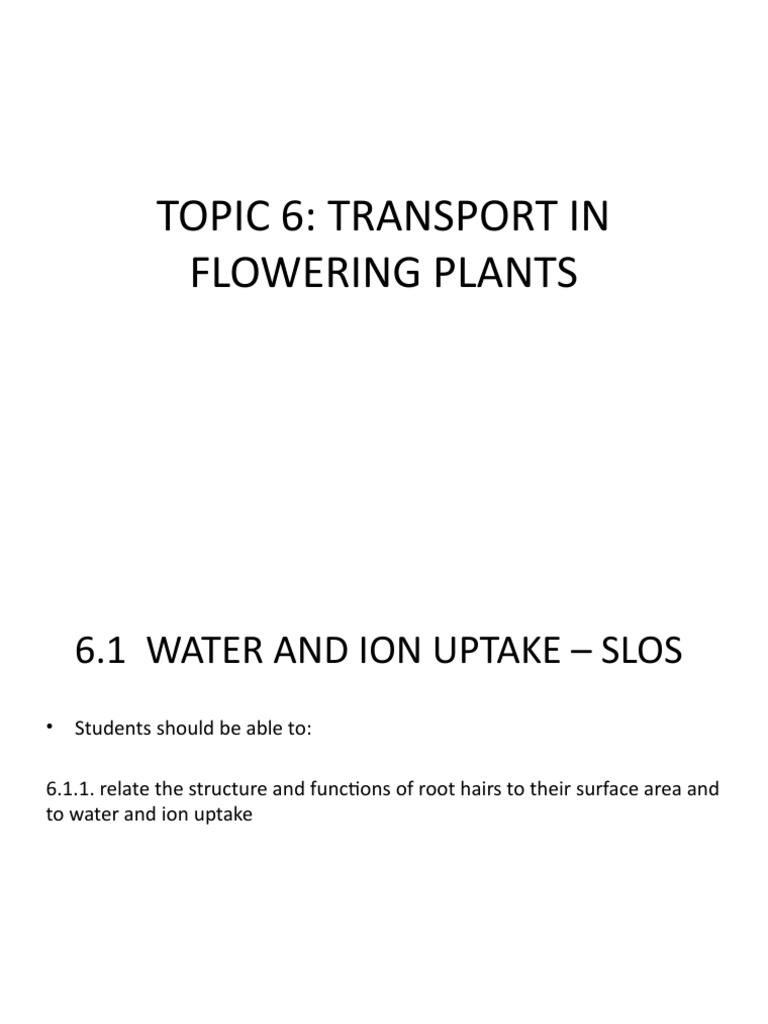 5090 - Topic6 - Bio - Transport in Flowering Plants | PDF | Plant Stem | Stoma