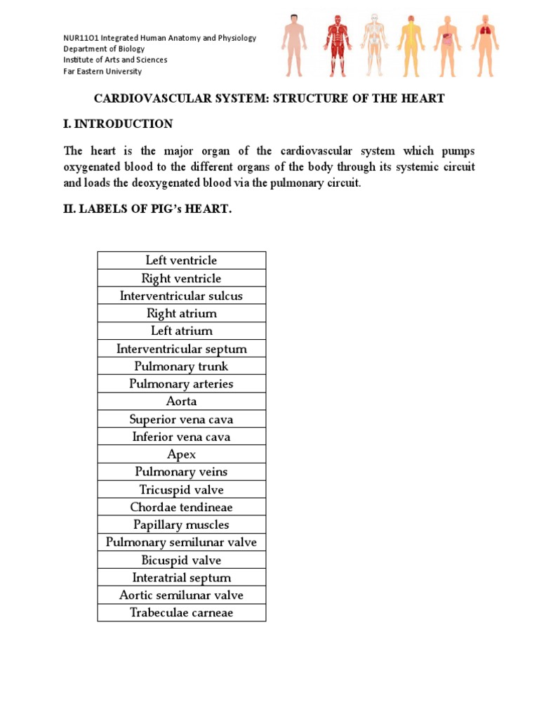 Pigs Heart Labels | PDF | Social Science | Wellness