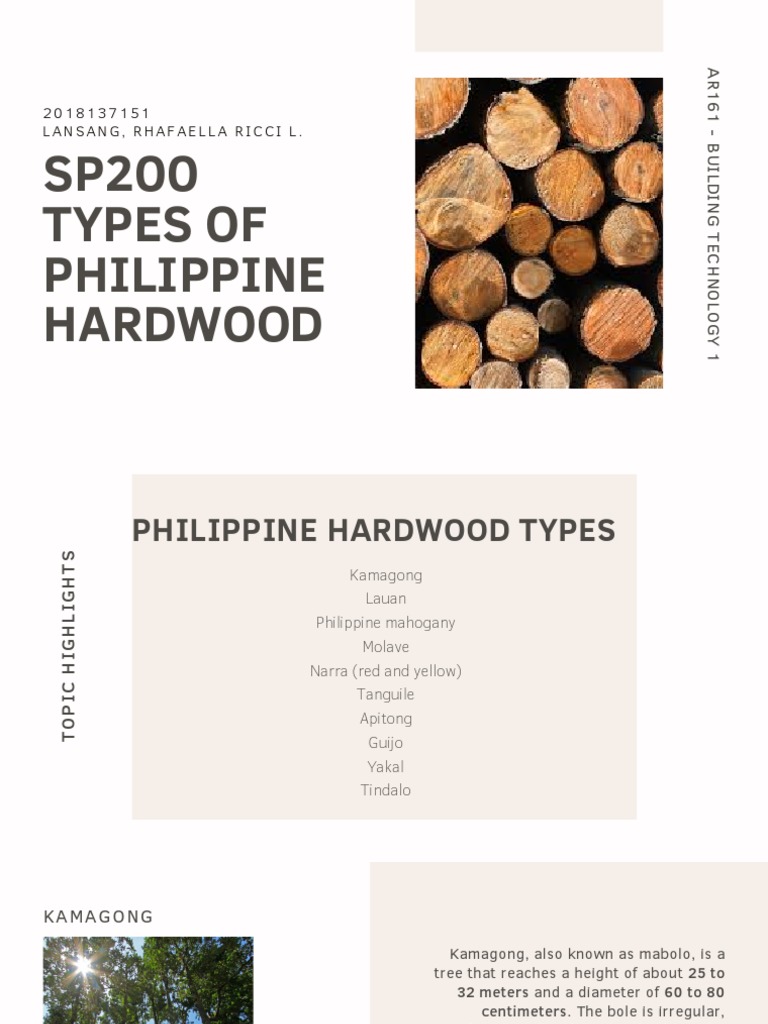 Sp200-Types of Philippine Hardwood | PDF | Wood | Plywood