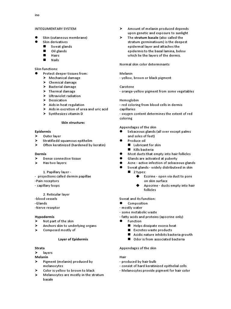 Integumentary System | PDF | Skin | Integumentary System