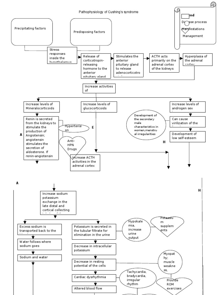 Cushing’s Syndrome Pathophysiology Explained | PDF | Adrenal Gland ...