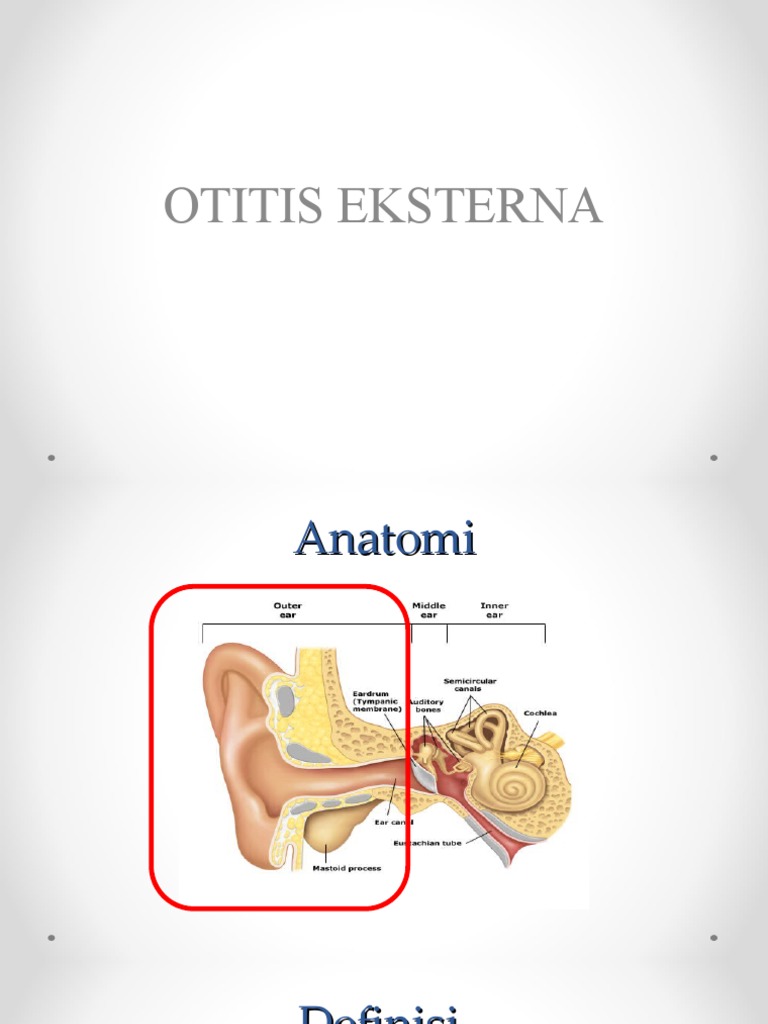 Otitis Eksterna | PDF