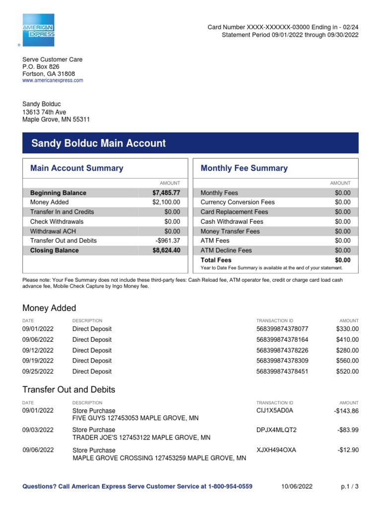 American Express | PDF
