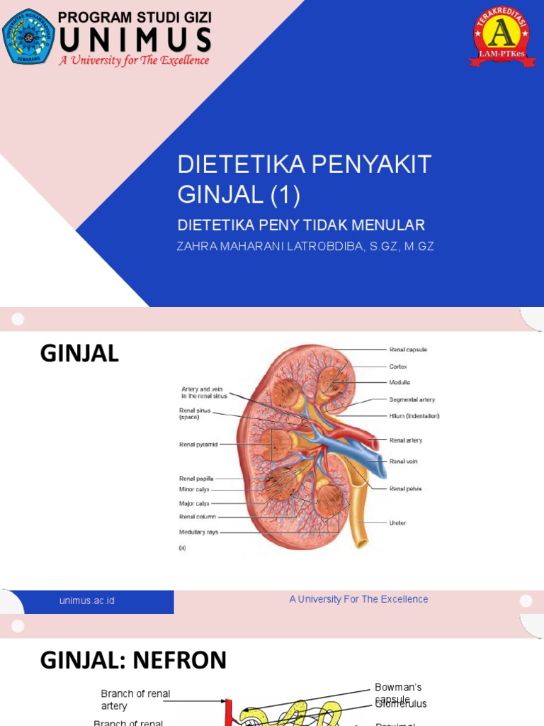 Dietetika Penyakit Ginjal | PDF