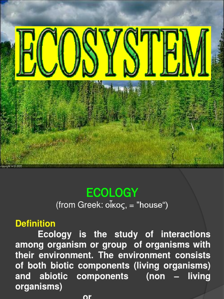 ESDM Unit I BSs Ecosystems | Download Free PDF | Food Web | Ecosystem