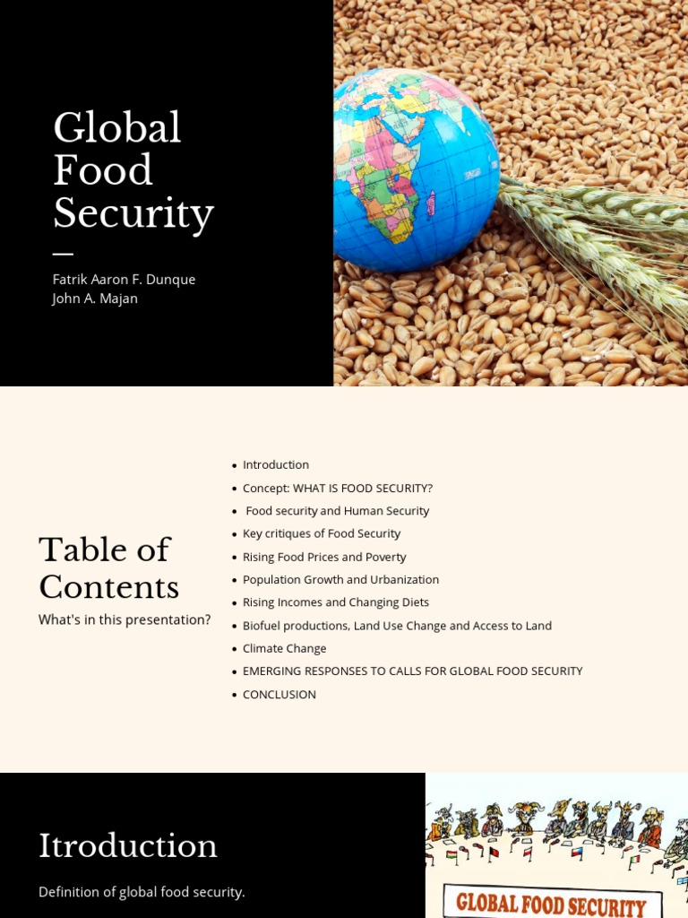 Global Food Security | PDF | Food Security | Hunger