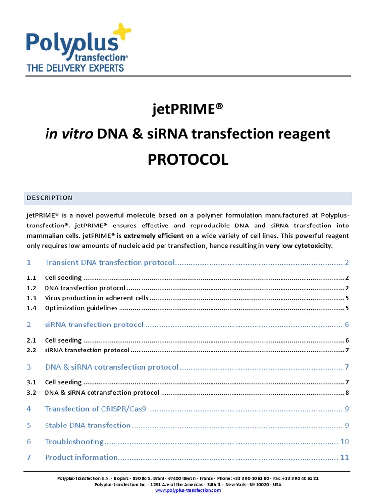 jetPRIME转染试剂说明 | PDF | Transfection | Genetics