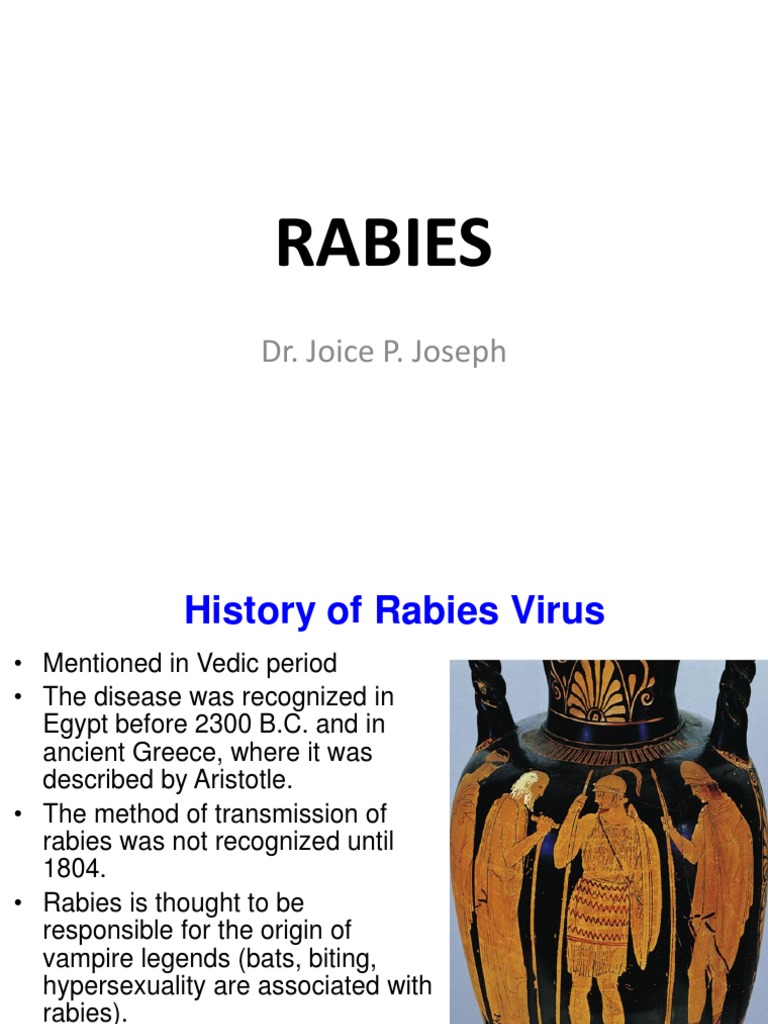 Rabies: A Comprehensive Review of the Virus, Epidemiology, Clinical ...