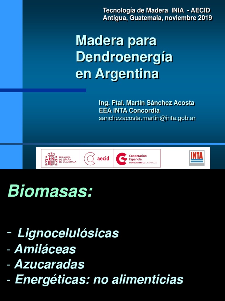 Madera para Dendroenergía en Argentina Sanchez Acosta Martin | PDF | Combustibles | Energía ...