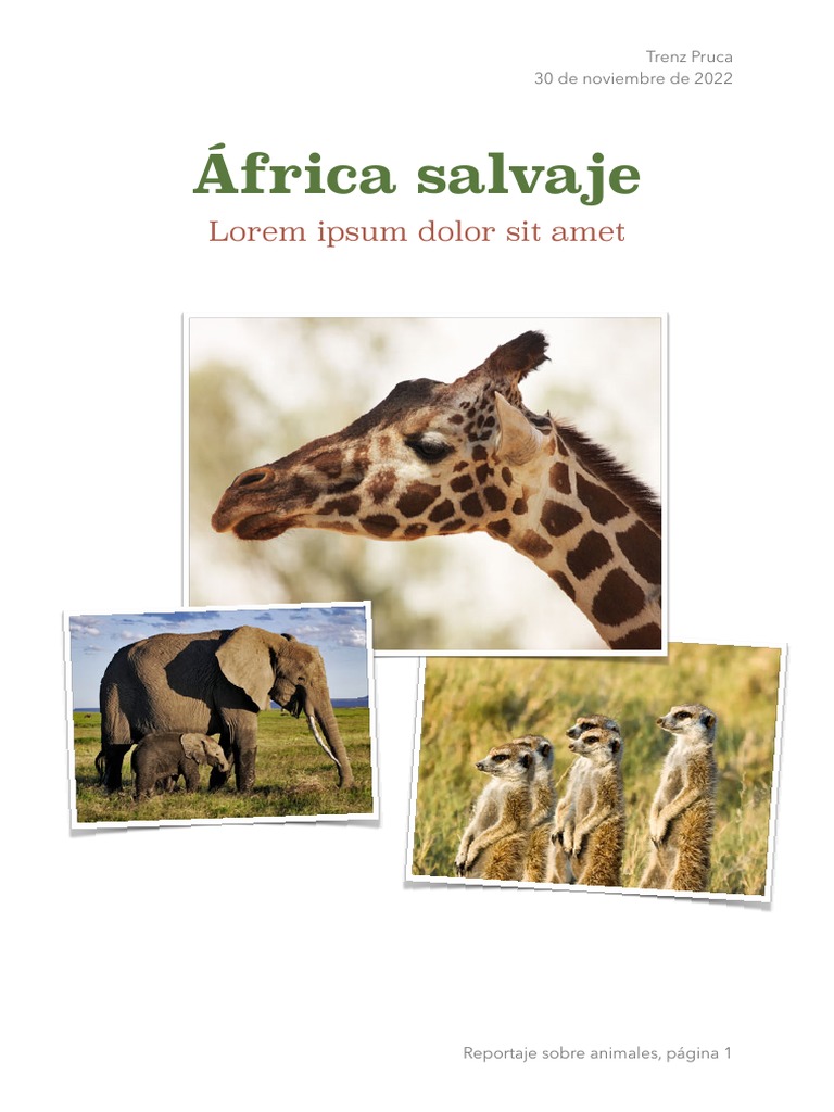 Informe Visual | PDF