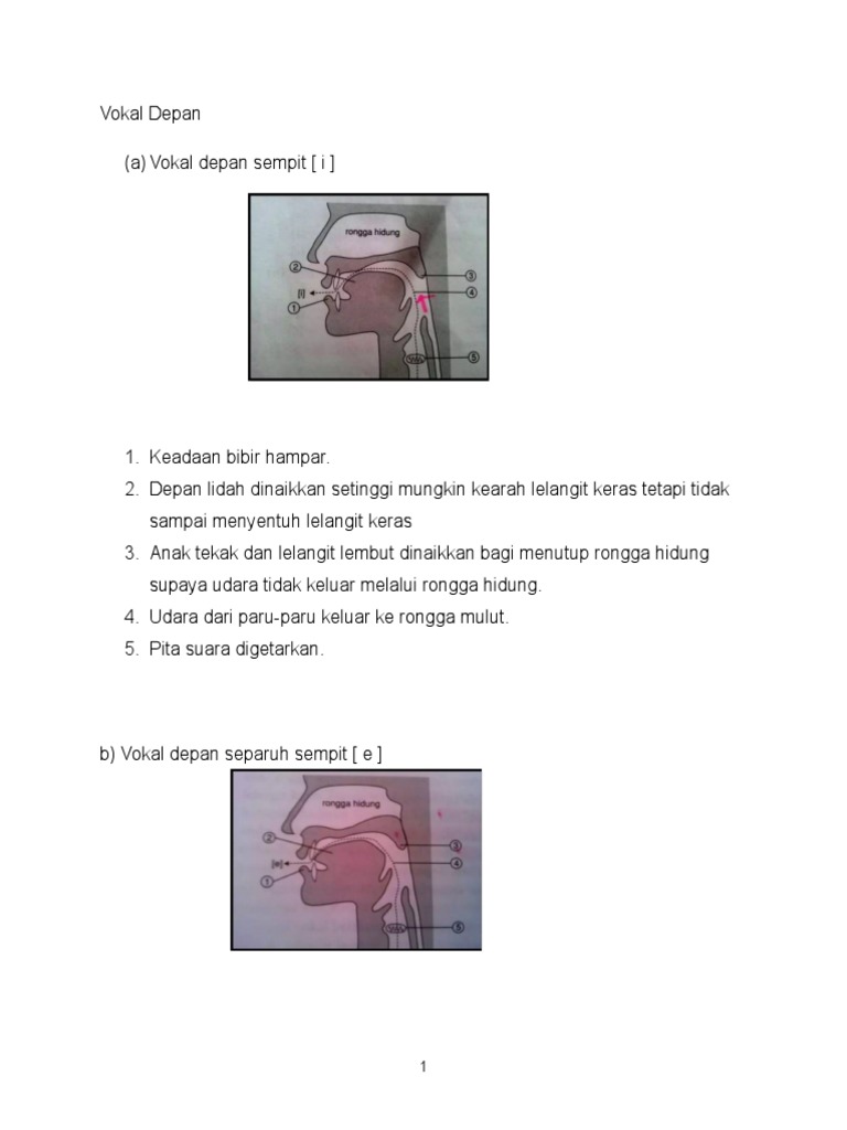 Nota Fonetik Dan Fonologi | PDF