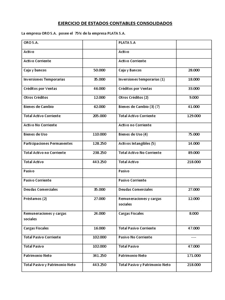 Ejercicio de Estados Contables Consolidado1 | PDF | Contabilidad ...