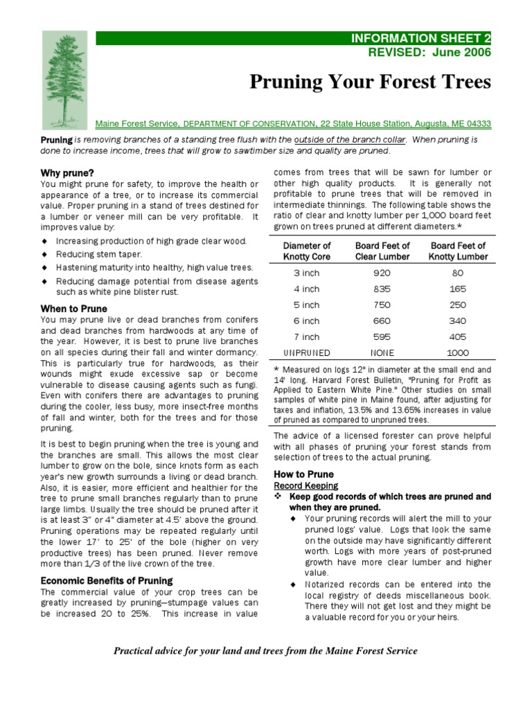 2 Pruning | PDF | Pruning | Trees