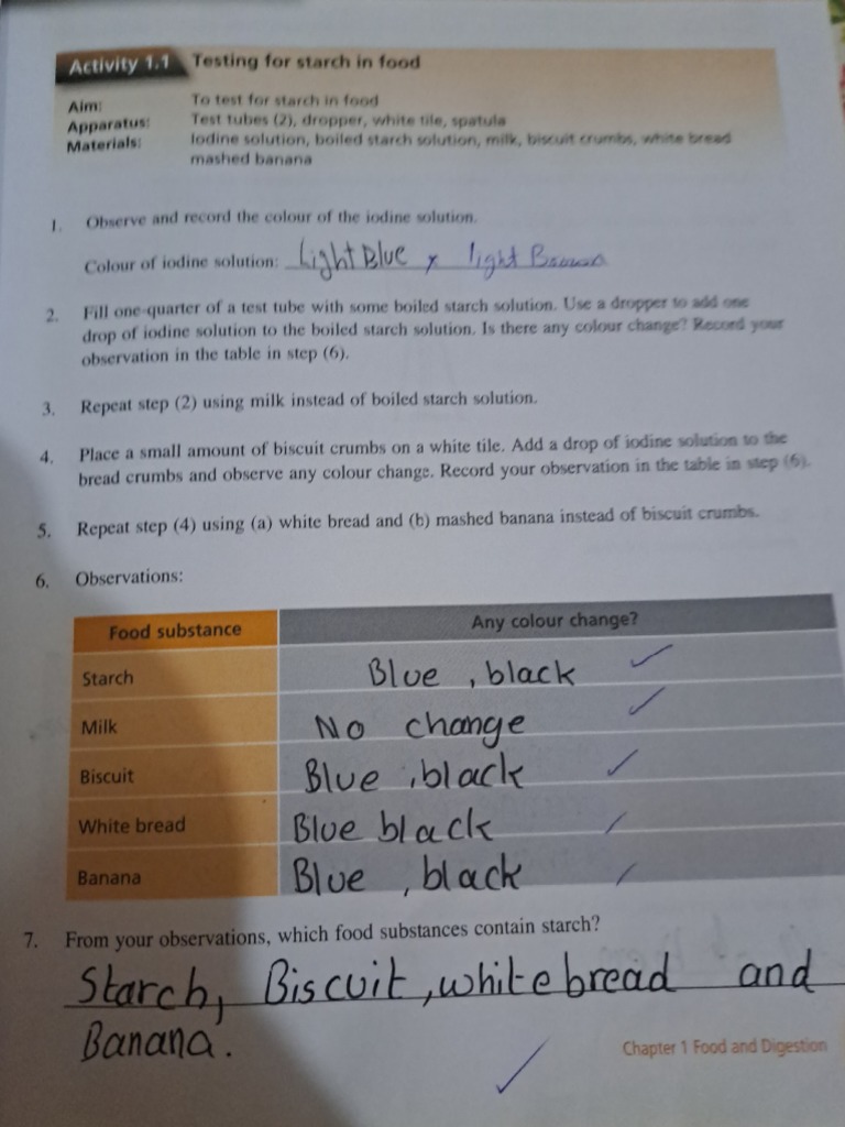 International Lower Secondary Science Workbook 3 | PDF | Digestion | Starch