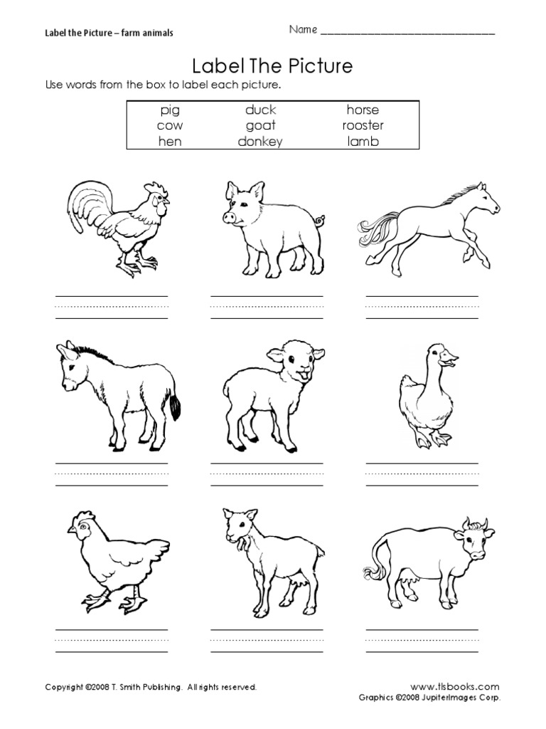 Farm Animals Picture Labeling Guide | PDF