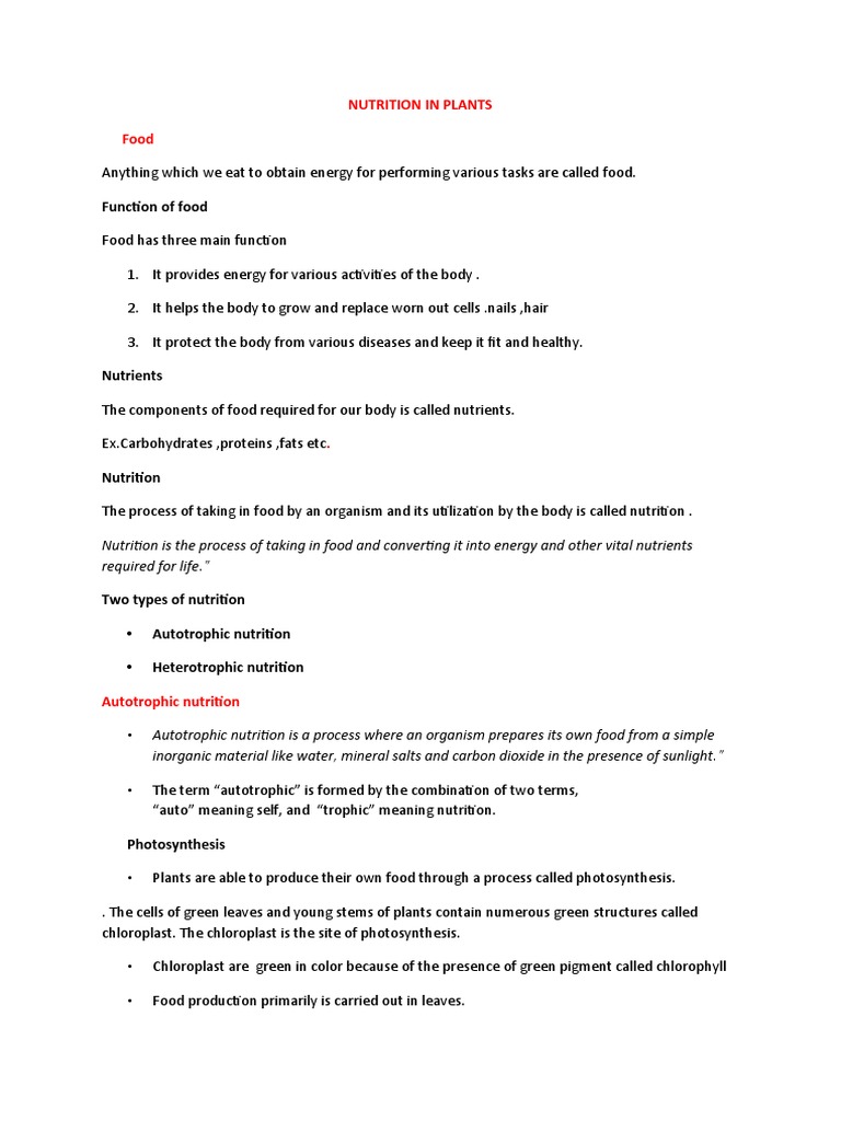 NUTRITION IN PLANTS Notes 1 | PDF