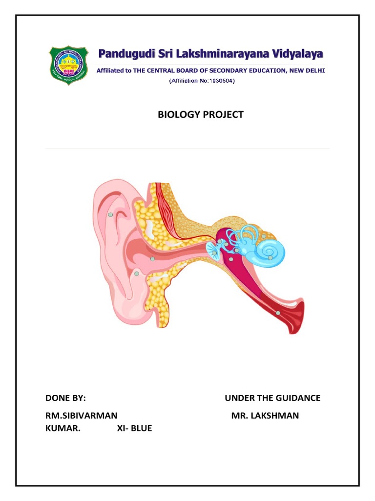 Biology Project | PDF
