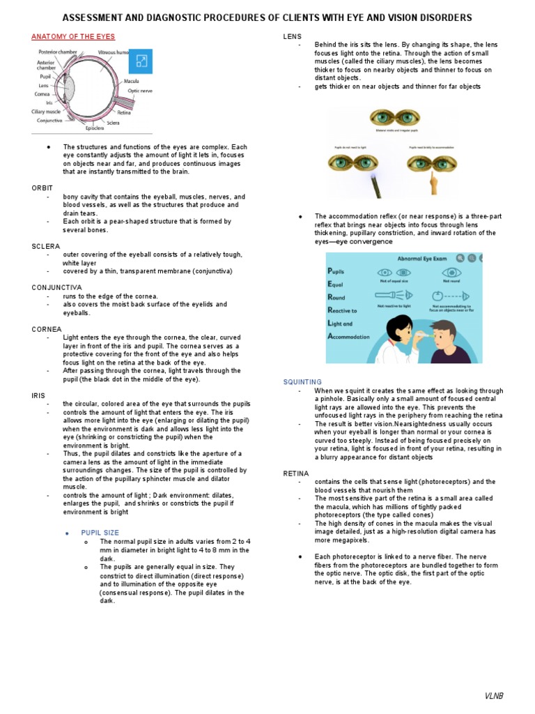5 Assessment and Diagnostic Procedures For Visual and Eye Disorders ...