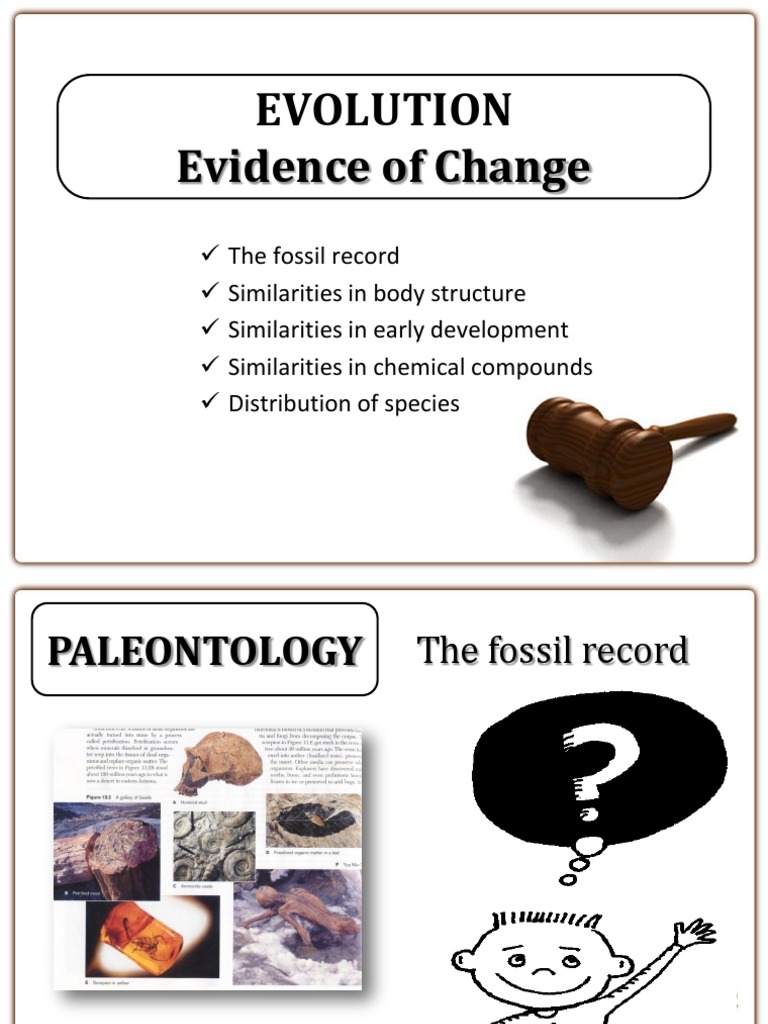 Evidences of Evolution | PDF | Homology (Biology) | Paleontology