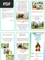 Infografia Del Zorro | PDF