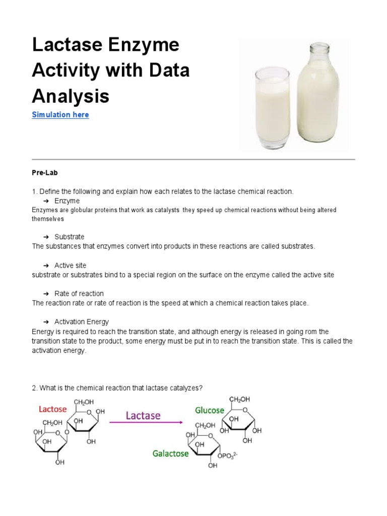 2.5 Lactase Enzyme Activity Kanika Kumar | PDF | Enzyme | Active Site