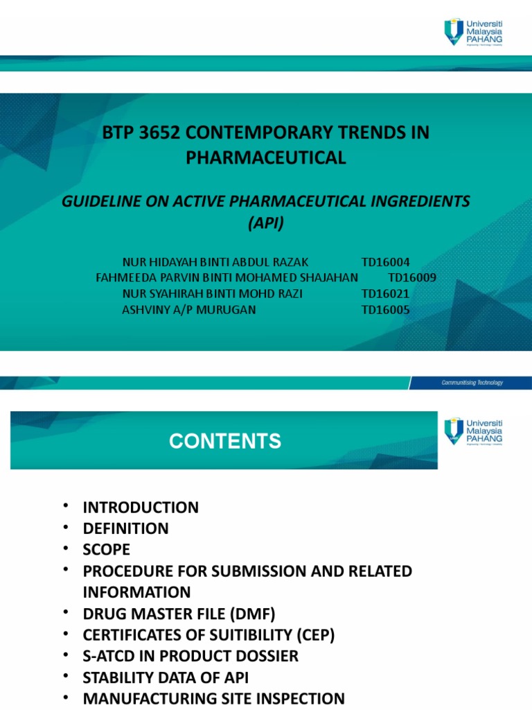 Technical Guidelines On API | PDF